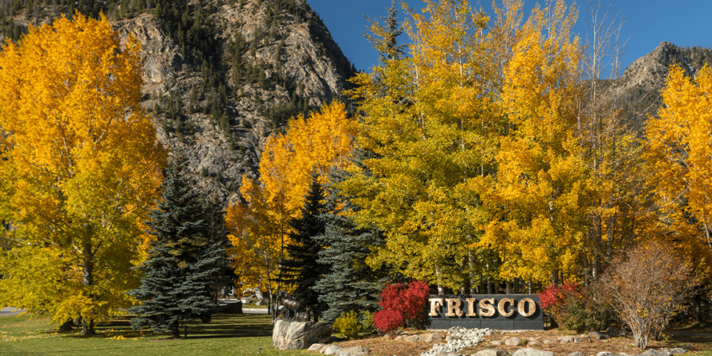 My Government - Frisco Town Government
